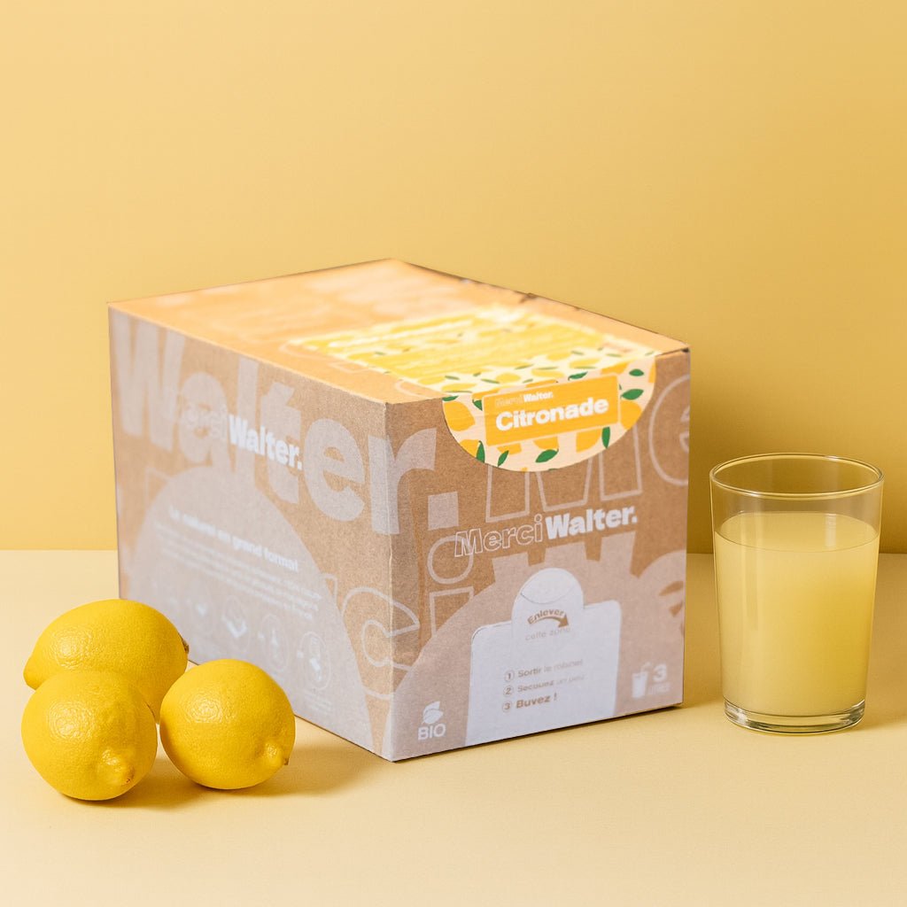 Citronnade BIO 3L – Boisson rafraîchissante au citron | Merci Walter